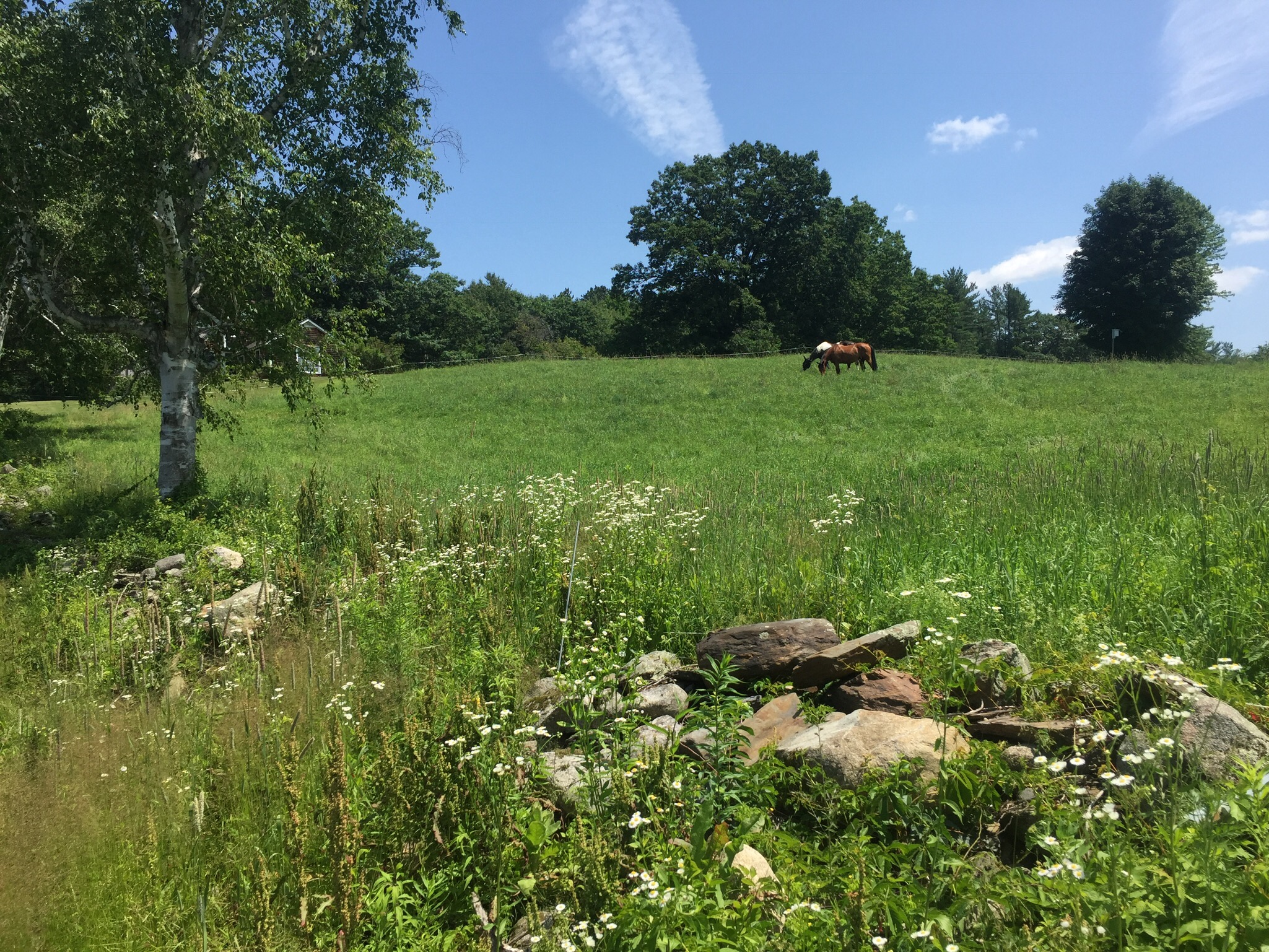 Another 42 Acres Conserved in Walpole; Enhances Rural Character | The ...