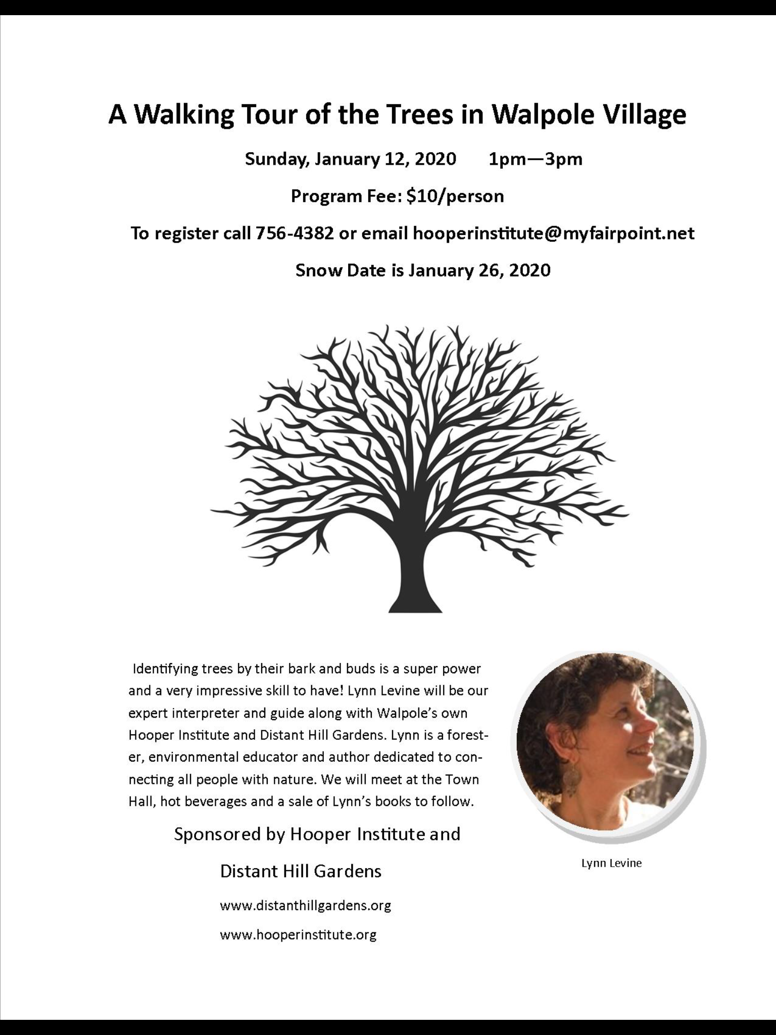 A Walking Tour of the Trees in Walpole Village | The Walpolean